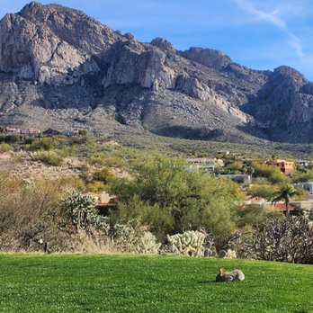 PUSCH RIDGE GOLF COURSE - Updated December 2025 - 25 Photos & 12 ...