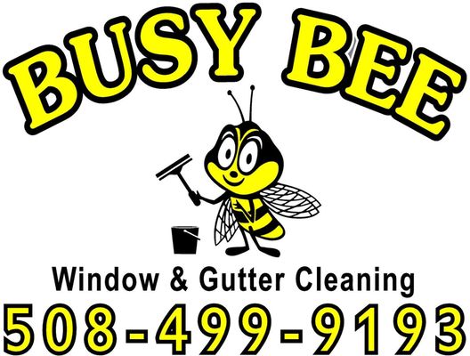 BUSY BEE WINDOW & GUTTER CLEANING - Updated December 2025 - 20 Reviews ...