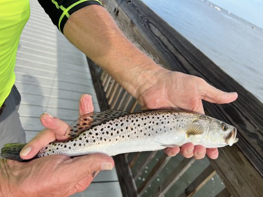 DOC’S BAIT HOUSE - Updated October 2025 - 588 W Merritt Island Cswy ...