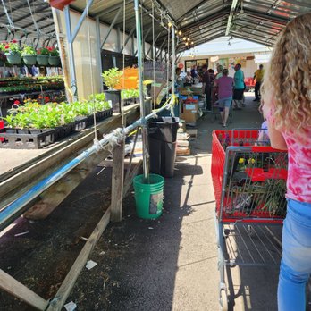 380 AUCTION DISCOUNT WAREHOUSE - Updated December 2025 - 63 Photos & 28 ...