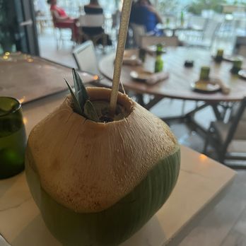 AMARA AT PARAISO - 2185 Photos & 912 Reviews - 3101 NE 7th Ave, Miami ...