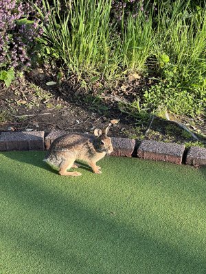 INTERBAY GOLF CENTER - Updated December 2025 - 121 Photos & 200 Reviews ...