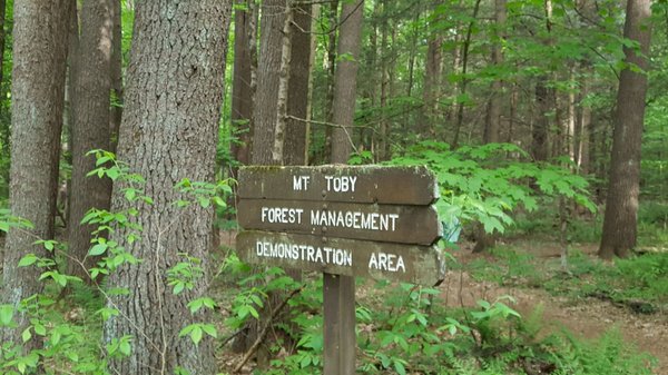 MOUNT TOBY STATE PARK - Updated October 2024 - 1-109 Reservation Rd ...