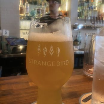STRANGEBIRD - Updated March 2025 - 299 Photos & 171 Reviews - 62 Marshall St, Rochester, New ...
