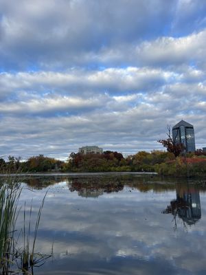 NORMANDALE LAKE PARK - Updated November 2025 - 198 Photos & 18 Reviews ...