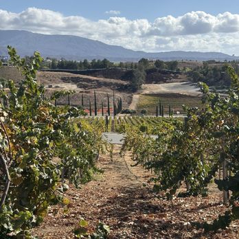 CALLAWAY VINEYARD & WINERY - Updated December 2024 - 1562 Photos & 909 ...