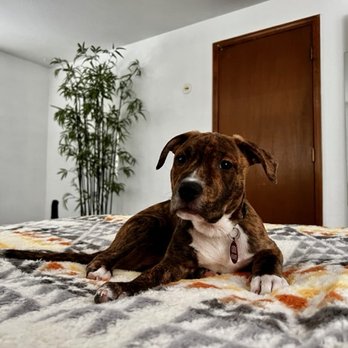 MAMCO - Updated January 2026 - 68 Photos & 18 Reviews - Englewood ...