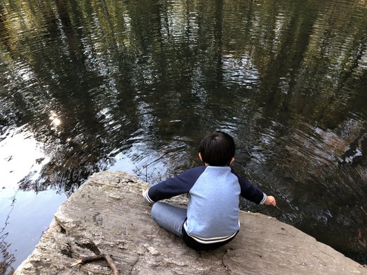 MASS AUDUBON BROAD MEADOW BROOK WILDLIFE SANCTUARY - Updated September ...