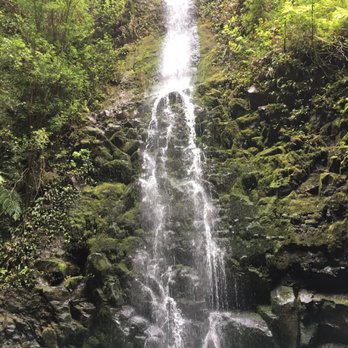 KOLOA FALLS - Updated July 2025 - 19 Photos - Koloa Gulch, Koolauloa ...