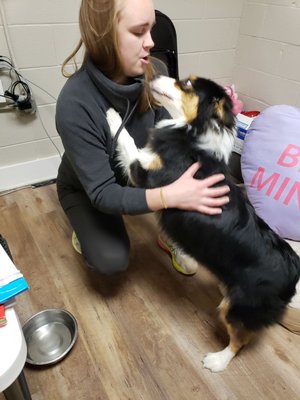 RUFF HOUSE DOG RESORT - Updated October 2025 - 39 Photos & 18 Reviews ...