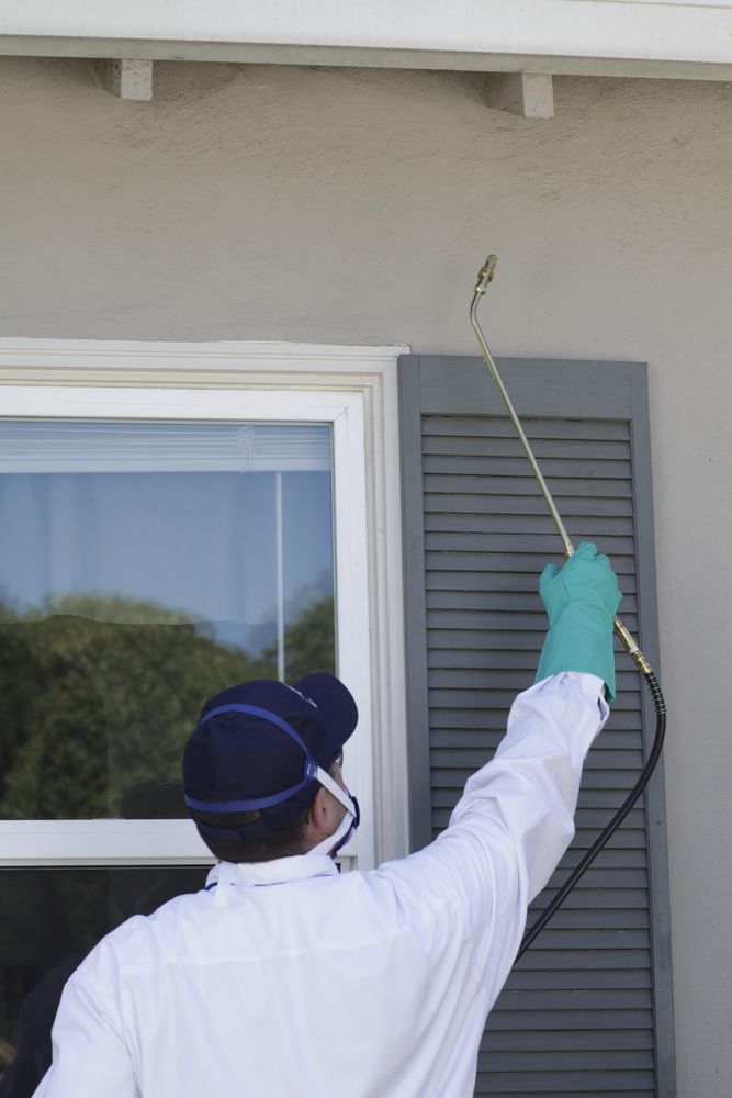 CLARK PEST CONTROL - Updated February 2025 - 1288 Garden Highway Yuba ...