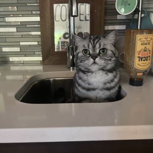 CHEYENNE RADIOLOGY - Updated July 2025 - 2003 Bluegrass Cir, Cheyenne ...