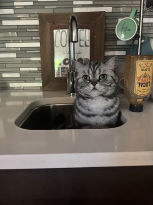 CHEYENNE VISION CLINIC - Updated August 2025 - 13 Photos & 45 Reviews ...