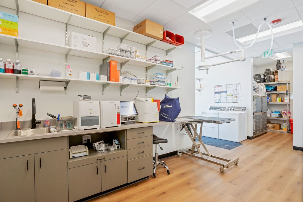 HESS RIDGE ANIMAL HOSPITAL - Updated December 2025 - 21 Photos - 12225 ...