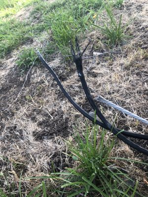 AVISTA UTILITIES - Updated January 2026 - 39 Reviews - 1411 E Mission ...