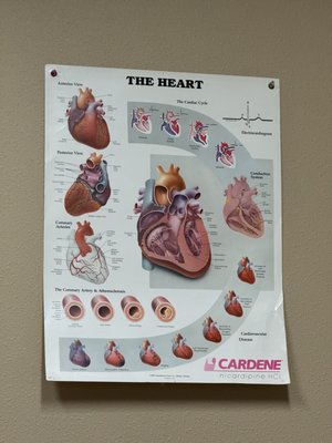 H RAJ REDDY, MD - Updated December 2025 - 1114 W 6th St, Hanford ...