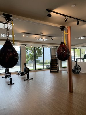 ANATOMY - MIDTOWN - Updated November 2024 - 38 Photos & 38 Reviews ...