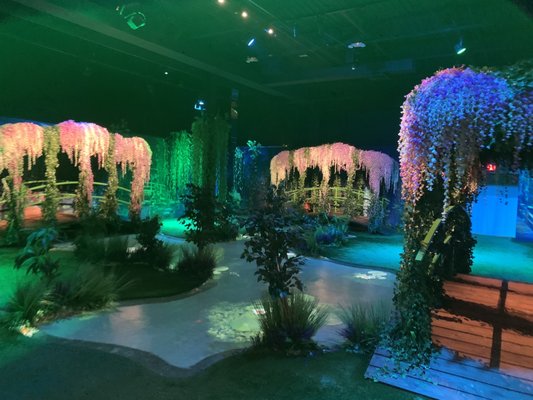 MONET THE IMMERSIVE EXPERIENCE ATLANTA - 24 Photos - 5660 Buford Hwy NE ...