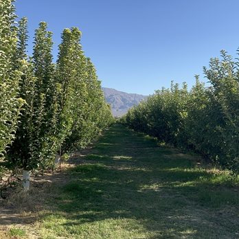 GILCREASE ORCHARD - 1989 Photos & 494 Reviews - Yelp
