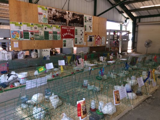 FAIRGROUNDS LAKE COUNTY FAIR - Updated October 2025 - 401 Martin St ...
