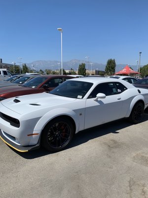 SUNRISE FORD - Updated June 2024 - 207 Photos & 819 Reviews - 16005 ...