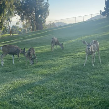 MARSHALL CANYON GOLF COURSE - Updated January 2025 - 124 Photos & 93 ...