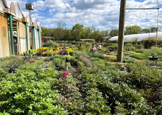 BATES NURSERY AND GARDEN CENTER - Updated October 2025 - 290 Photos ...