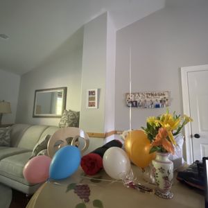 NPS STORE - Updated June 2025 - 29 Reviews - 495 N State St, Orem, Utah ...