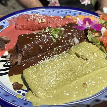 MOLE MOLE MEXICAN CUISINE - Updated April 2025 - 51 Photos & 29 Reviews ...