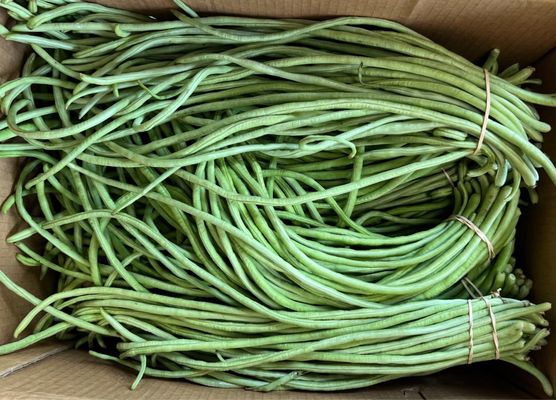 CHUN CHING MARKET 【63 Photos & 54 Reviews】 418 NW 8th Ave, Gainesville ...