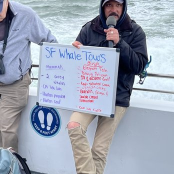 SAN FRANCISCO WHALE TOURS - Updated December 2025 - 256 Photos & 309 ...