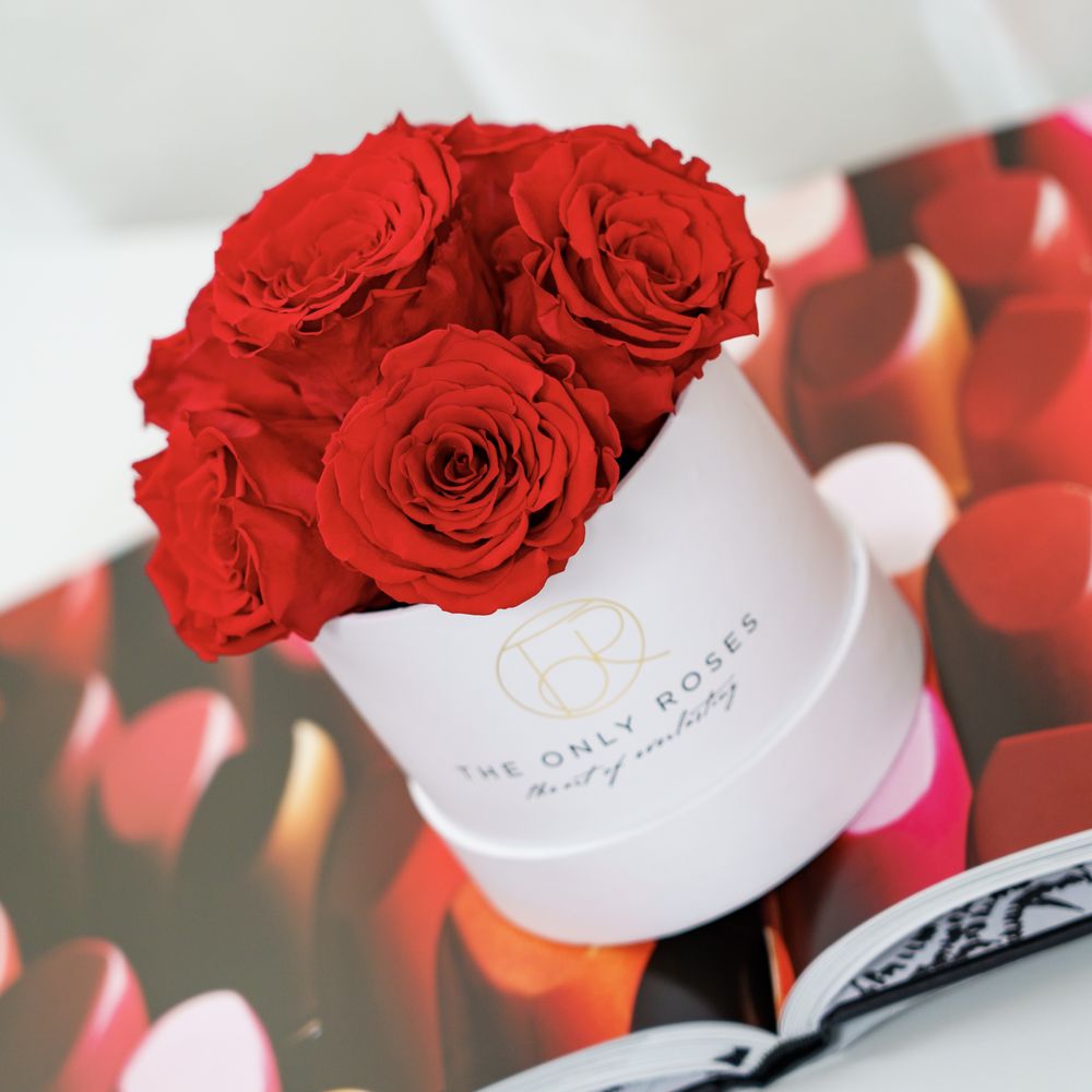 THE ONLY ROSES - Updated December 2025 - Request Information - 68 ...