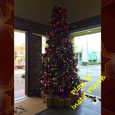 SOUTH COAST COLLECTION - Updated October 2025 - 16 Photos & 22 Reviews ...