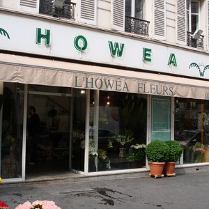 L’HOWEA - Updated August 2024 - 18 avenue Rapp, Paris, France ...