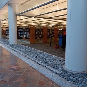 PLAINVILLE PUBLIC LIBRARY - Updated April 2025 - 32 Photos - 56 E Main ...