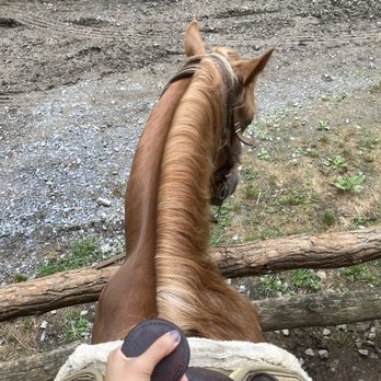 SUGARLANDS RIDING STABLE - Updated July 2025 - 131 Photos & 130 Reviews ...