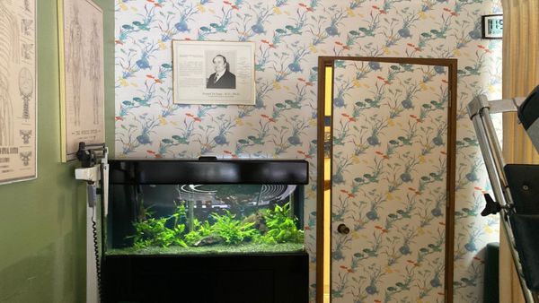 DON HARADA, DC - Updated January 2026 - 28 Photos & 40 Reviews - 1580 ...