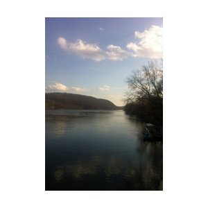 RUE INSURANCE - Updated September 2025 - 15 Photos - 3812 Quakerbridge ...