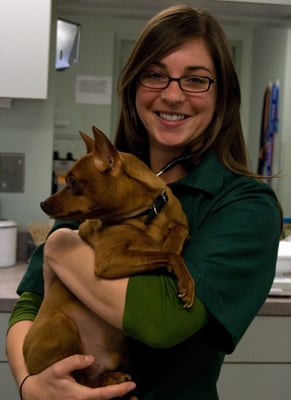 SUFFIELD VETERINARY HOSPITAL - Updated December 2025 - 20 Photos & 16 ...