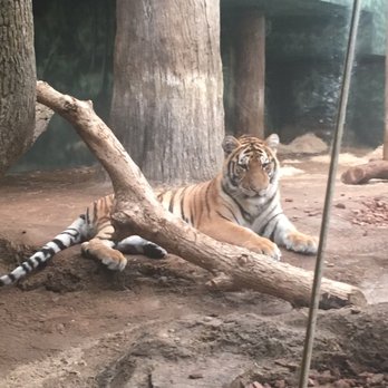 MILWAUKEE COUNTY ZOO - Updated October 2025 - 939 Photos & 297 Reviews ...