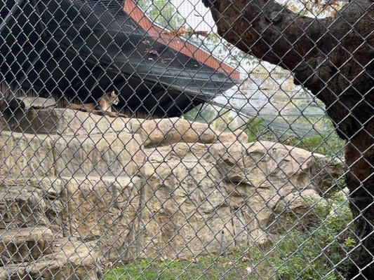 OC ZOO IRVINE REGIONAL PARK - Updated July 2024 - 33 Photos & 19 ...