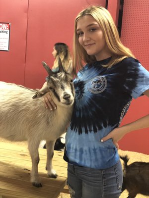 ZOOBEEZ PETTING ZOO - Updated October 2025 - 11 Photos - 8360 State Hwy ...