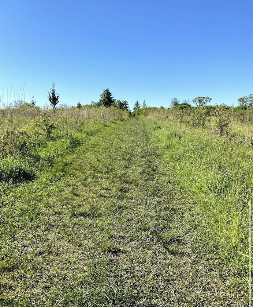 SPRINGBROOK PRAIRIE FOREST PRESERVE - Updated December 2025 - 126 ...