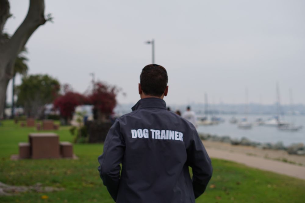 THE NOBLE DOGS - Updated April 2025 - 418 Photos & 183 Reviews - 1617 ...