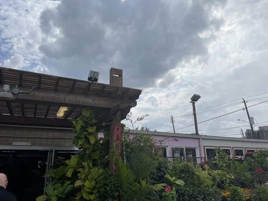 FANNIN FLOWERS - Updated July 2024 - 43 Photos & 77 Reviews - 4803 ...