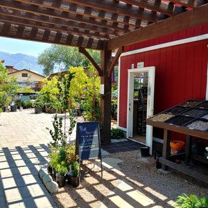 IFA COUNTRY STORE - SALT LAKE CITY - Updated November 2025 - 11 Photos ...