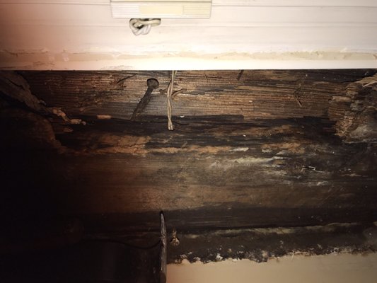 SLOMIN’S - Updated December 2025 - 31 Photos & 500 Reviews - 125 Lauman ...