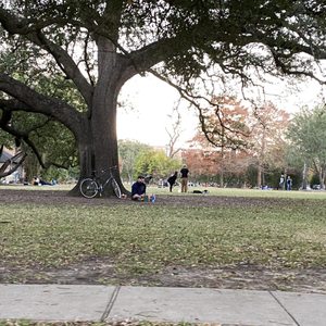 STUDE PARK - 27 Photos & 23 Reviews - Parks - 1031 Stude St, Houston ...