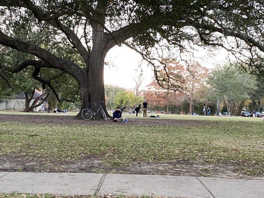 MENIL PARK - Updated May 2024 - 52 Photos & 40 Reviews - 1450 Branard ...
