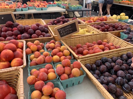 RED BANK FARMERS MARKET - Updated July 2024 - 33 Photos & 22 Reviews ...